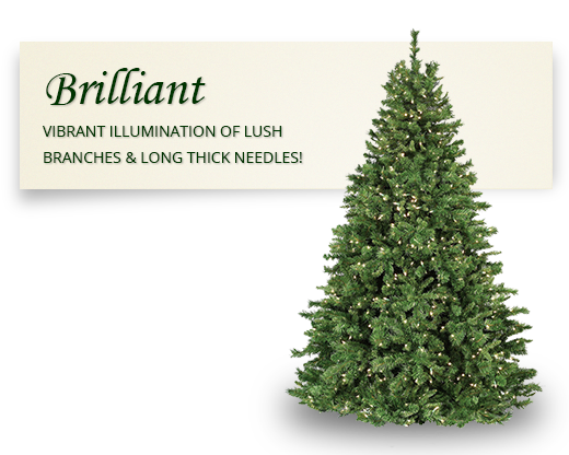 Dunhill Fir Prelit Tree - Christmas Lights, Etc Dunhill Fir Prelit Tree - Christmas Lights, Etc