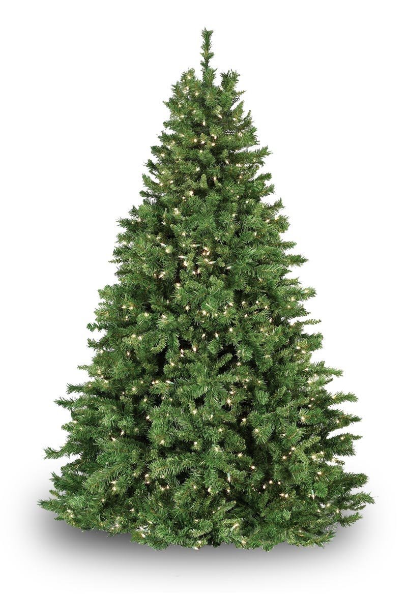 Dunhill Fir Prelit Tree - Christmas Lights, Etc Dunhill Fir Prelit Tree - Christmas Lights, Etc