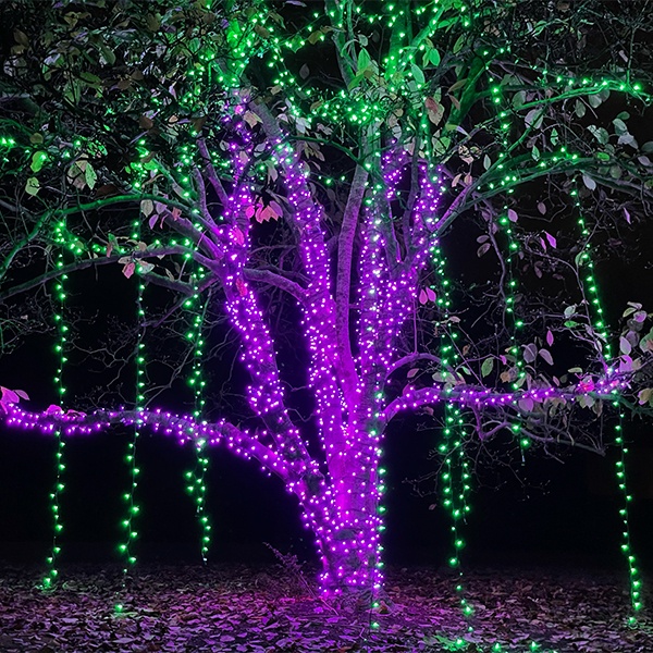 Terrifyingly Terrific Outdoor Halloween Light Trees