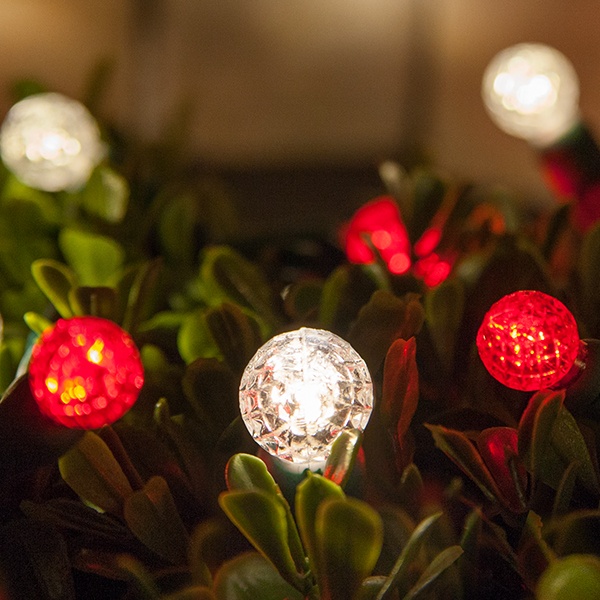 G12 LED Light Strings